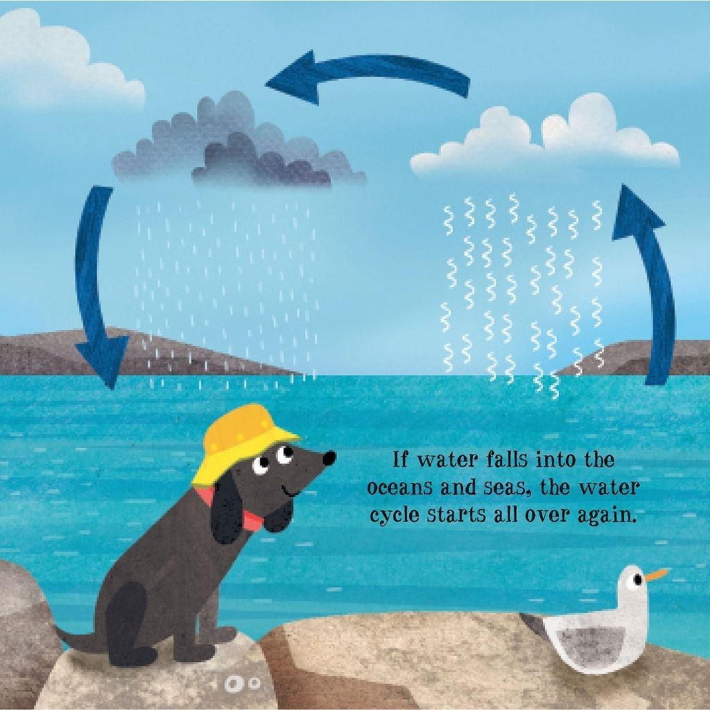 The Great Big Water Cycle Adventure